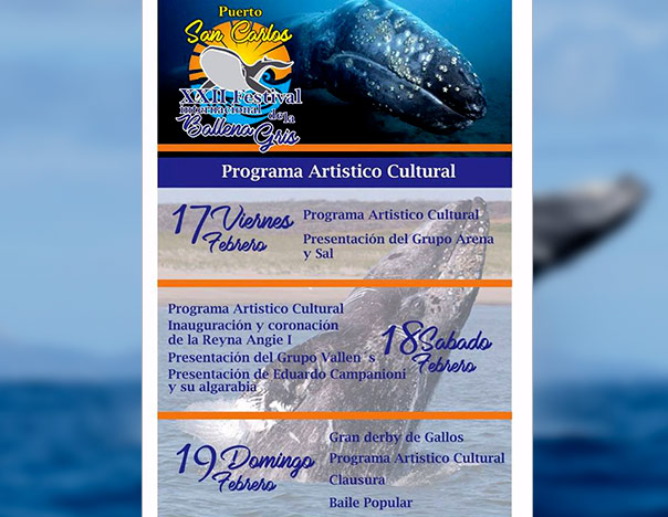 Ya viene el Festival de la Ballena Gris en Puerto San Carlos - CULCO BCS