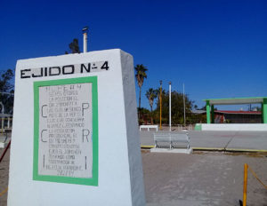 El ejido mexicano: su historia y aportación a la economía nacional (II ...
